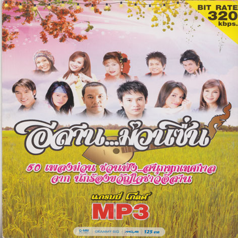 MP3 ลูกทุ่ง: รวมศิลปิน อีสานม่วนซื่น MP3 - 320kbps.
